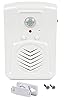 SierraTeck Motion Activated Voice Player - Recordable, Built-in ...