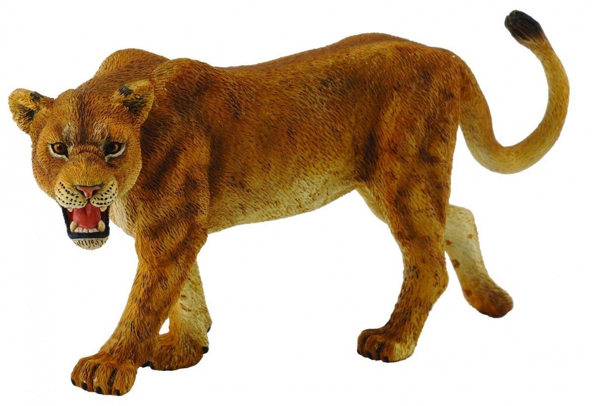Buy CollectA Lioness Figure Online at Low Prices in India - Amazon.in
