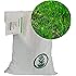 Amazon.com : GRASS SEED PREMIUM RYE GULF ANNUAL OREGON GROWN 50 LBS ...