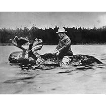 Theodore Roosevelt Moose