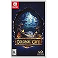Amazon.com: Colossal Cave - Nintendo Switch : Everything Else