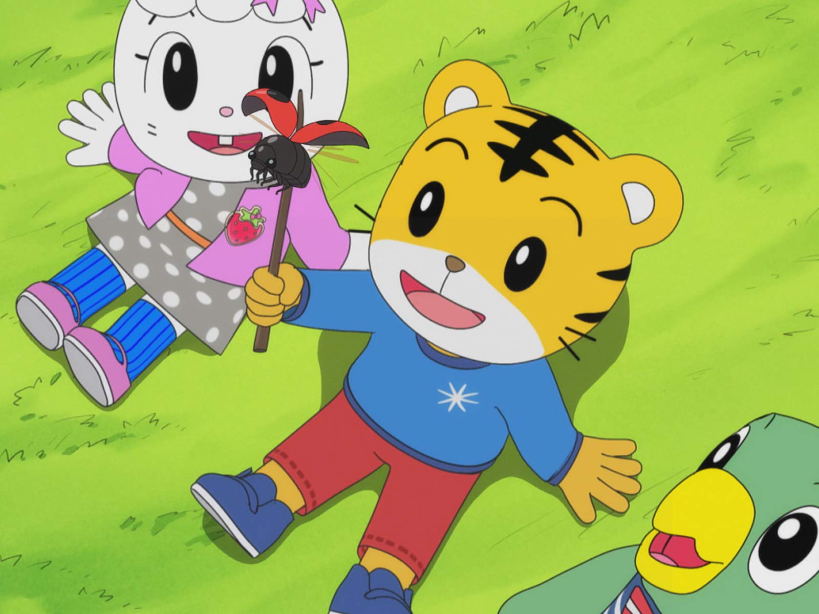 Watch Shimajiro A Wonderful Adventure | Prime Video