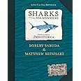 Encyclopedia Prehistorica: Sharks and Other Sea Monsters: Robert Sabuda ...