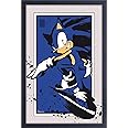 Amazon.com - Pyramid America Sonic Poster - Shadow the Hedgehog - 11 x ...