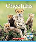 Cheetahs (National Geographic Readers: Level 2): Amazon.co.uk: Laura ...