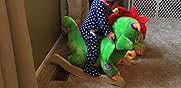 Amazon.com: Rockabye Poof the Lil' Dragon Rocker, One Size : Baby