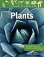 Plants: Flowering Plants, Ferns, Mosses, and Other Plants (Class of ...