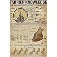 Amazon.com : PPFINE Farrier Knowledge Metal Tin Sign Anatomy of Horse ...