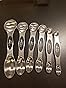 Amazon.com: 6 Piece Nesting Magnetic Measuring Spoon Professional Set ...