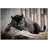 Amazon.com: Black Panther Print Wall Art Abstract Panther Prints Black ...