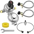 Amazon.com : 2-Stage Automatic Changeover LP Propane Gas Regulator RV ...
