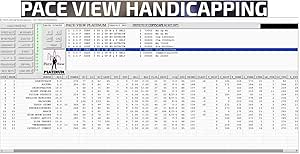 Amazon.com: PACE VIEW HANDICAPPING SOFTWARE--PLATINUM EDITION
