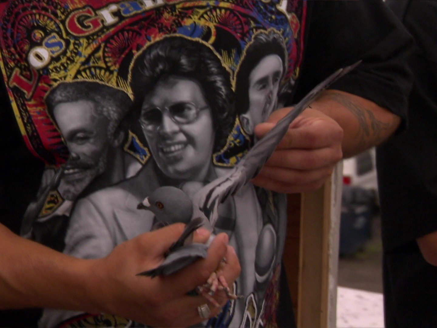 Watch Taking on Tyson Season 1 | Prime Video