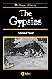 Amazon.com: Gypsy Law: Romani Legal Traditions and Culture ...