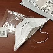 Magnum Flat Fold Respirator with NIOSH N95 Certification, Pack of 1 ...