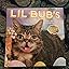 Amazon.com: Lil Bub 2018 Wall Calendar (9781419725241): Lil Bub: Books