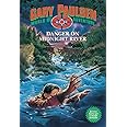 Danger on Midnight River: World of Adventure Series, Book 6: Paulsen ...