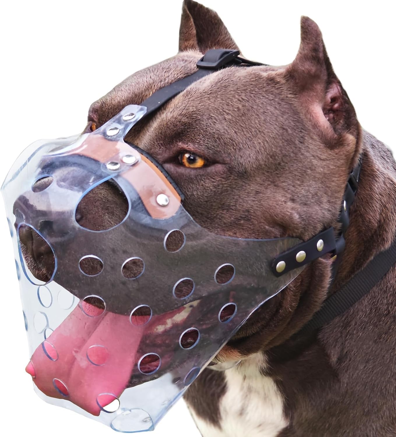 Mayerzon Pitbull Muzzle, Basket Muzzle for Large Dogs Rottweiler to ...
