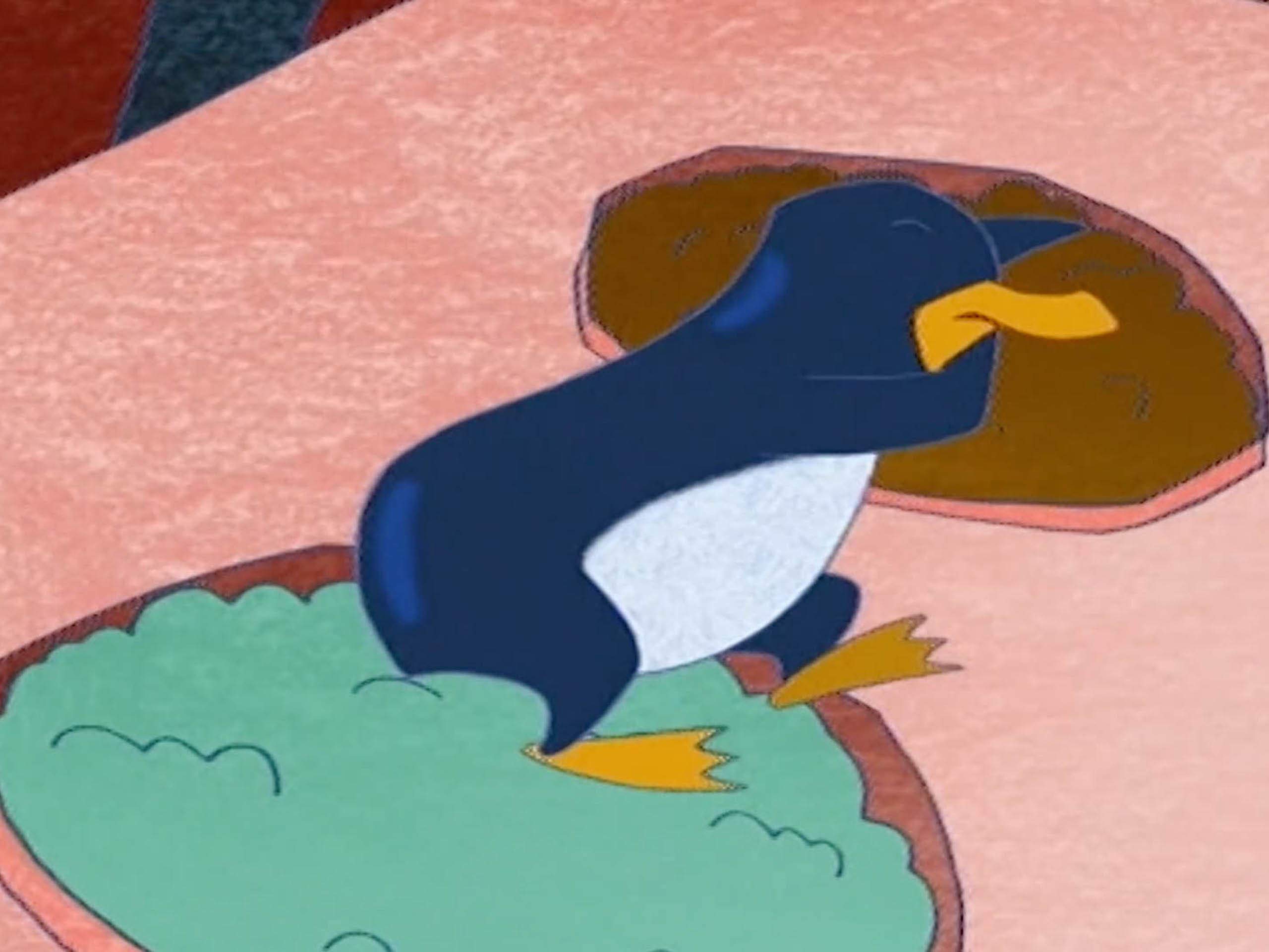 Amazon.de: Jasper der Pinguin ansehen | Prime Video