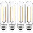 AIELIT Vintage T10/T30 LED Bulb 25 Watt Equivalent, Warm White 2700K, 200 Lumens, E26 Base, 2W ...