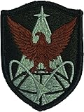 Amazon.com: 1st Space Brigade Scorpion / OCP Patch With Hook Fastener ...