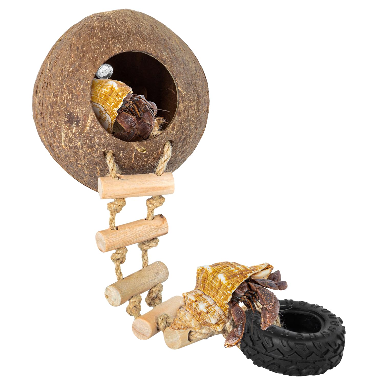 Mua REPTIZOO Hermit Crab Coconut Shell Hideout, Leopard Gecko Hide Cave ...