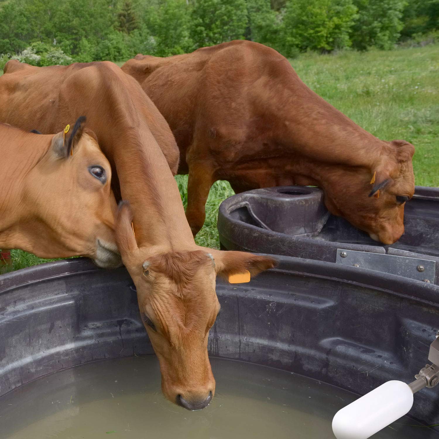 Mua 4 Pieces 1/2 Inch Float Ball Valve Plastic Water Float Valve Mini ...