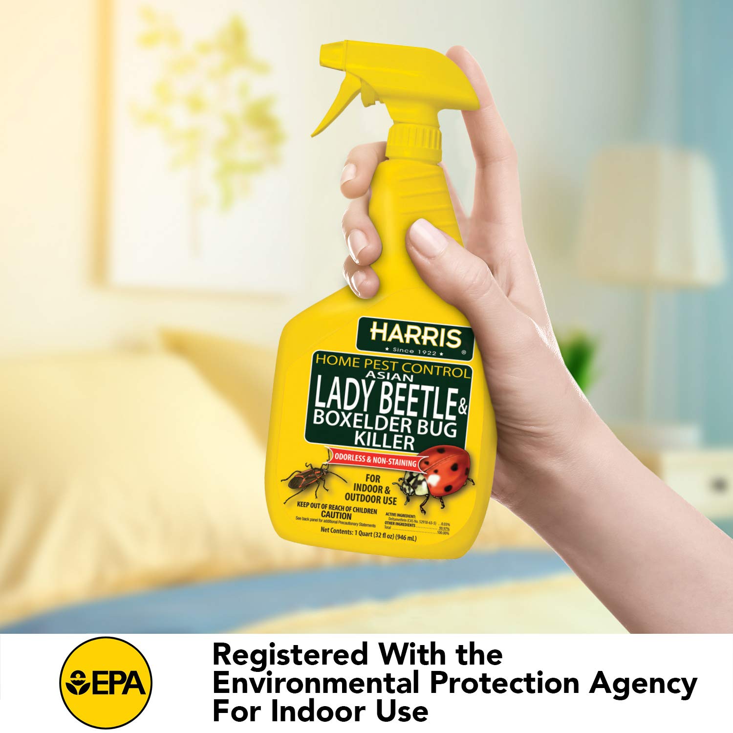 Mua Harris Asian Lady Beetle and Box Elder Killer, Liquid Spray with ...