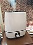 Amazon.com: Everlasting Comfort Ultrasonic Cool Mist Humidifier for ...