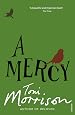 A Mercy: Amazon.co.uk: Toni Morrison: 9780099502548: Books
