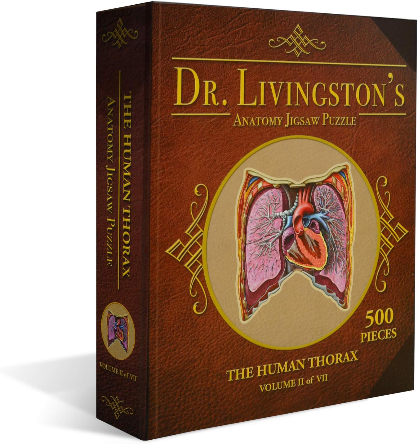 Dr. Livingston’s Human Anatomy 500 Piece Jigsaw Puzzle – Educational ...