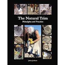 Natural Trim How To Trim Natural Hair | Ultimate Guide