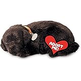 Amazon.com: Perfect Petzzz Original Petzzz Cocker Spaniel, Realistic ...