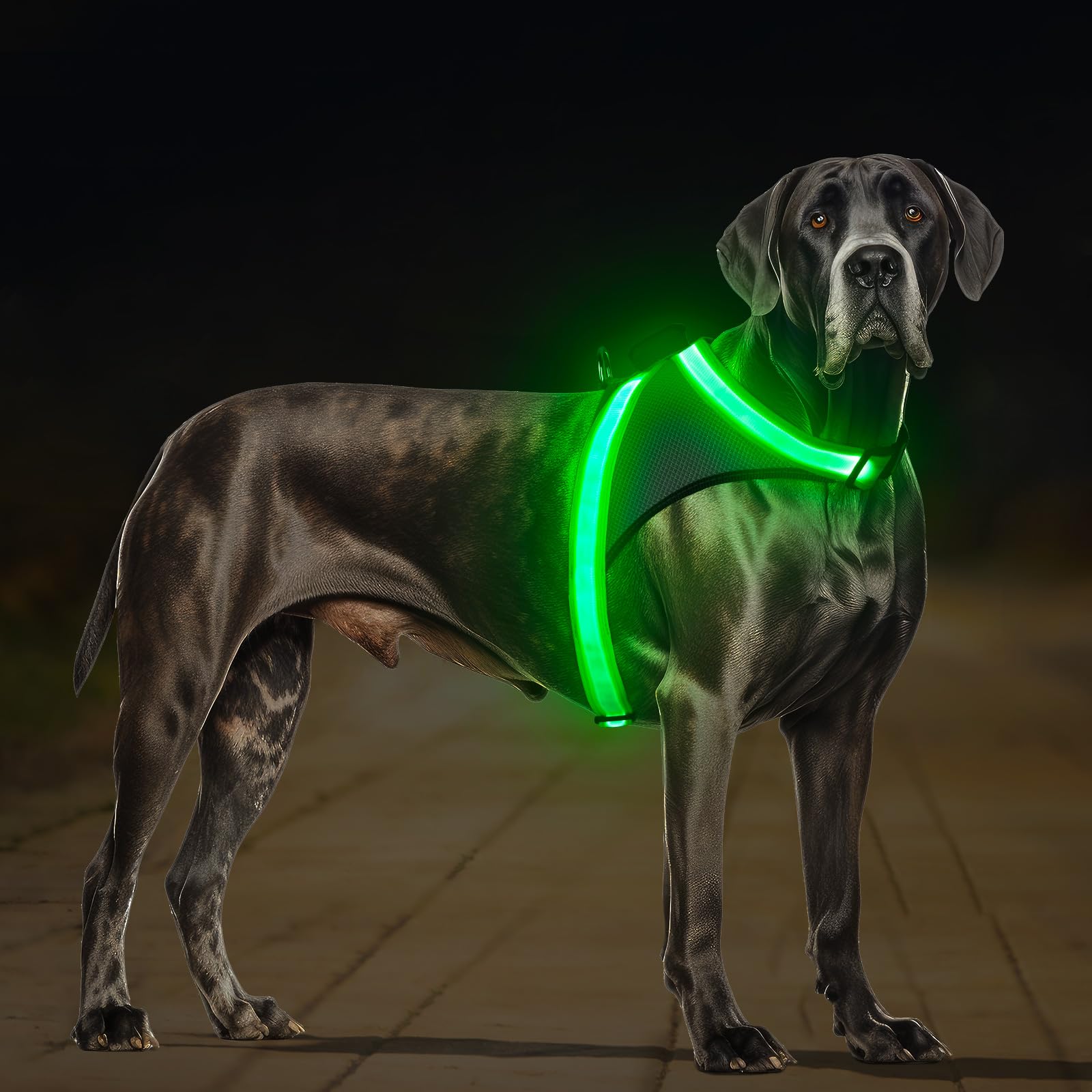 ChalkLit Light Up Dog Harness, No Pull Led Dog Harness Glow-in-The-Dark ...