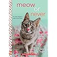 Amazon.com: Meow or Never: A Wish Novel: 9781338684681: Taylor, Jazz: Books