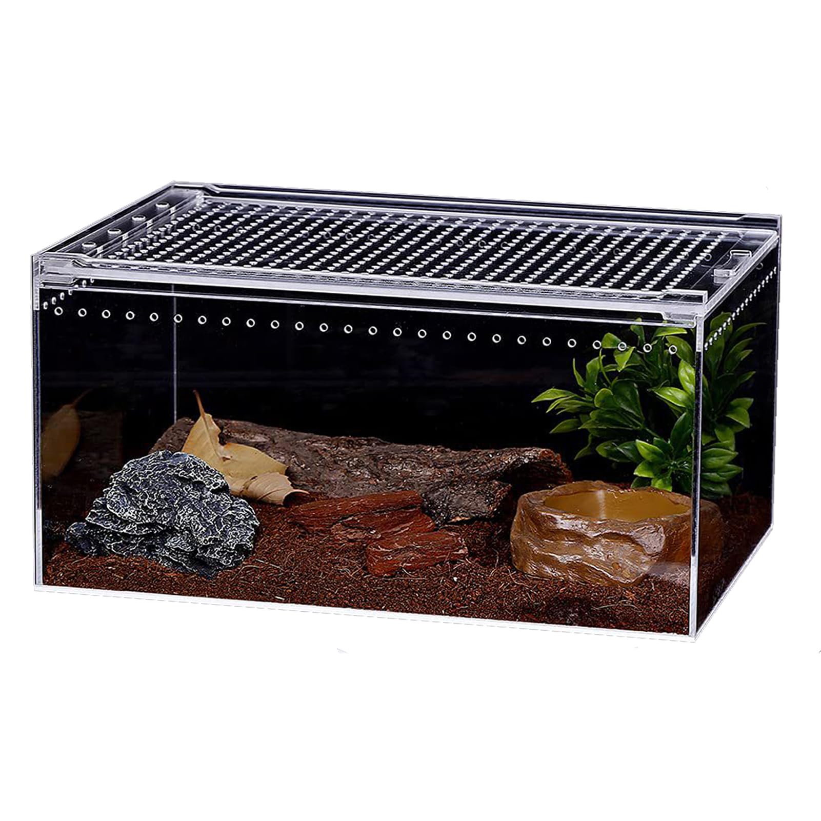 Tarantula Enclosure Reptile Terrarium Starter Kit - Lizard Snakes ...