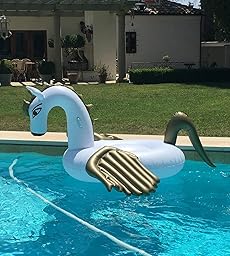 Amazon.com: Jasonwell Giant Inflatable Pegasus Pool Float with Rapid ...