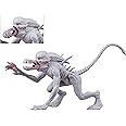 Amazon.com: NECA Alien Classics - 5.5” Action Figures - Neomorph : Toys ...