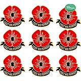 Amazon.com: Lest We Forget Poppy Brooch Pin Flower Broach Memorial Day ...