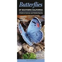 Birds of Southern California: A Guide to Common & Notable Species ...