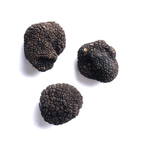 Fresh & Wild | Fresh Whole Black Italian Summer Truffle | Tuber ...