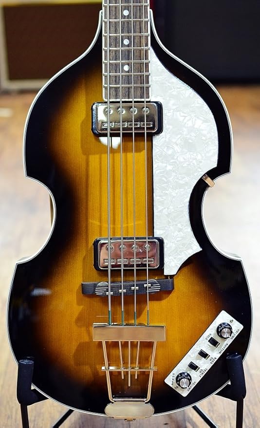 Hofner HOF-HCT-500/1-SB 4-String Bass Guitar: Amazon.ca: Musical ...