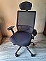 Wipro Furniture Adapt High Back Mesh Ergonomic Home-Office Chair with ...