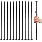 Amazon.com : JPOIP 30 Inch Long Rebar Stakes - 9/16 Inch Diameter Heavy ...