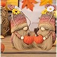 Amazon.com: Fall Gnomes Decorations for Home, 2 Pack Autumn Harvest ...