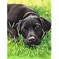 Amazon.com: YOUSHIHA Funny Black Labrador Dog Diamond Painting Kits for ...