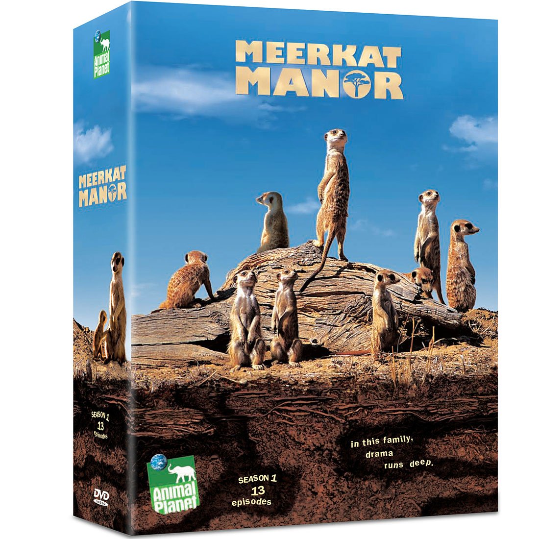 Amazon.com: Meerkat Manor Season 1 (3 DVD Set): Meerkat: Movies & TV