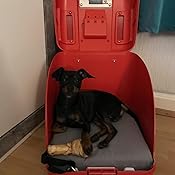 POW Pet Carrier Hundetransportbox für Hunde zur Befestigung auf dem ...