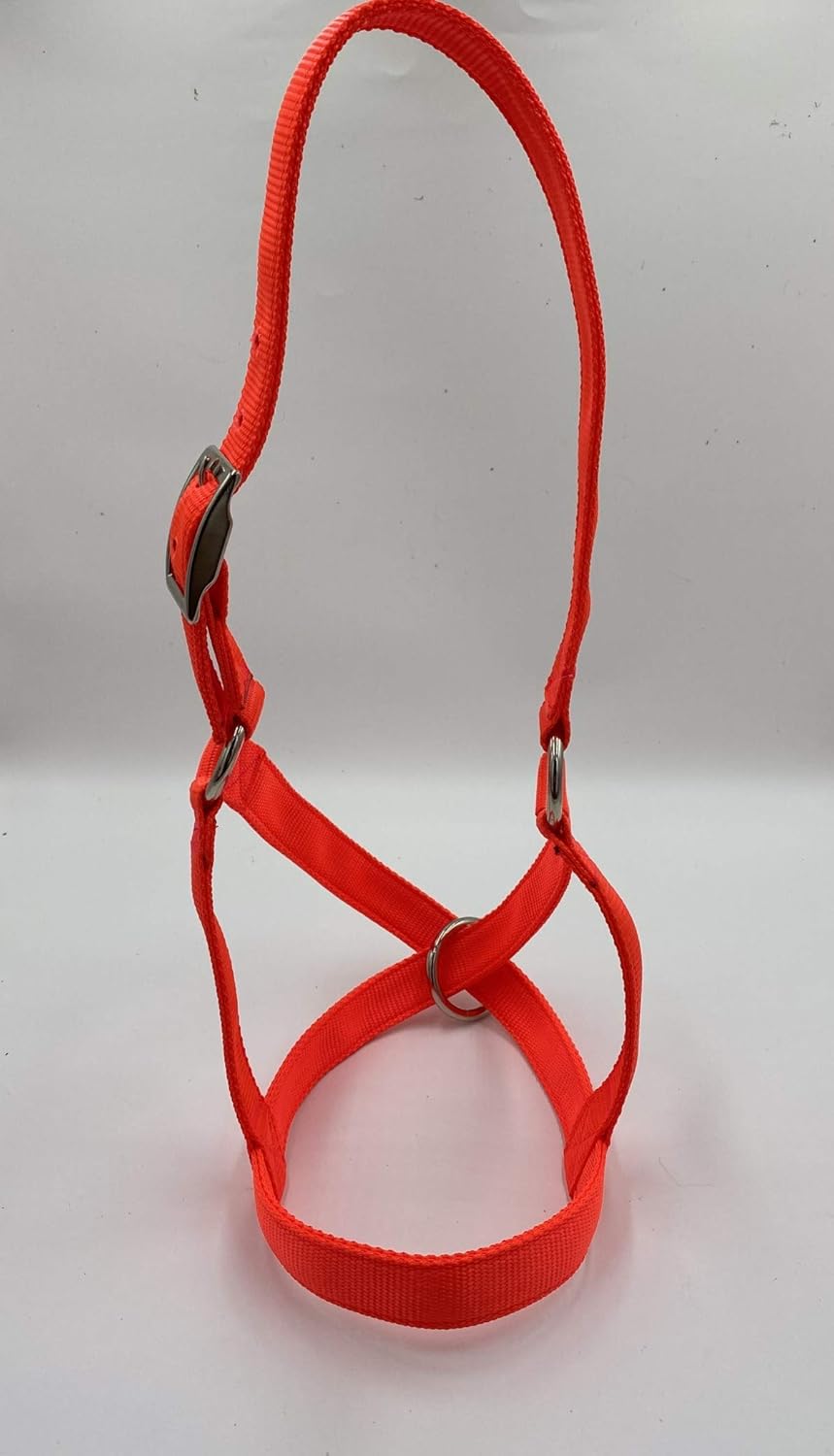 Amazon.com: Cattle Halter Newborn Calf Yearling Cow Bull: Handmade