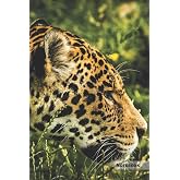 Jaguar Notebook: Unique Black Panther Jaguar Journal, Notebook for ...